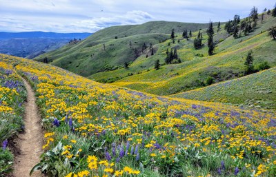 Day Hike - Colockum Wildlife Area — The Mountaineers