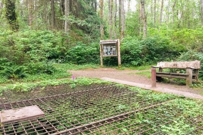 Day Hike - Cougar Mountain: Red Town Trailhead — The Mountaineers