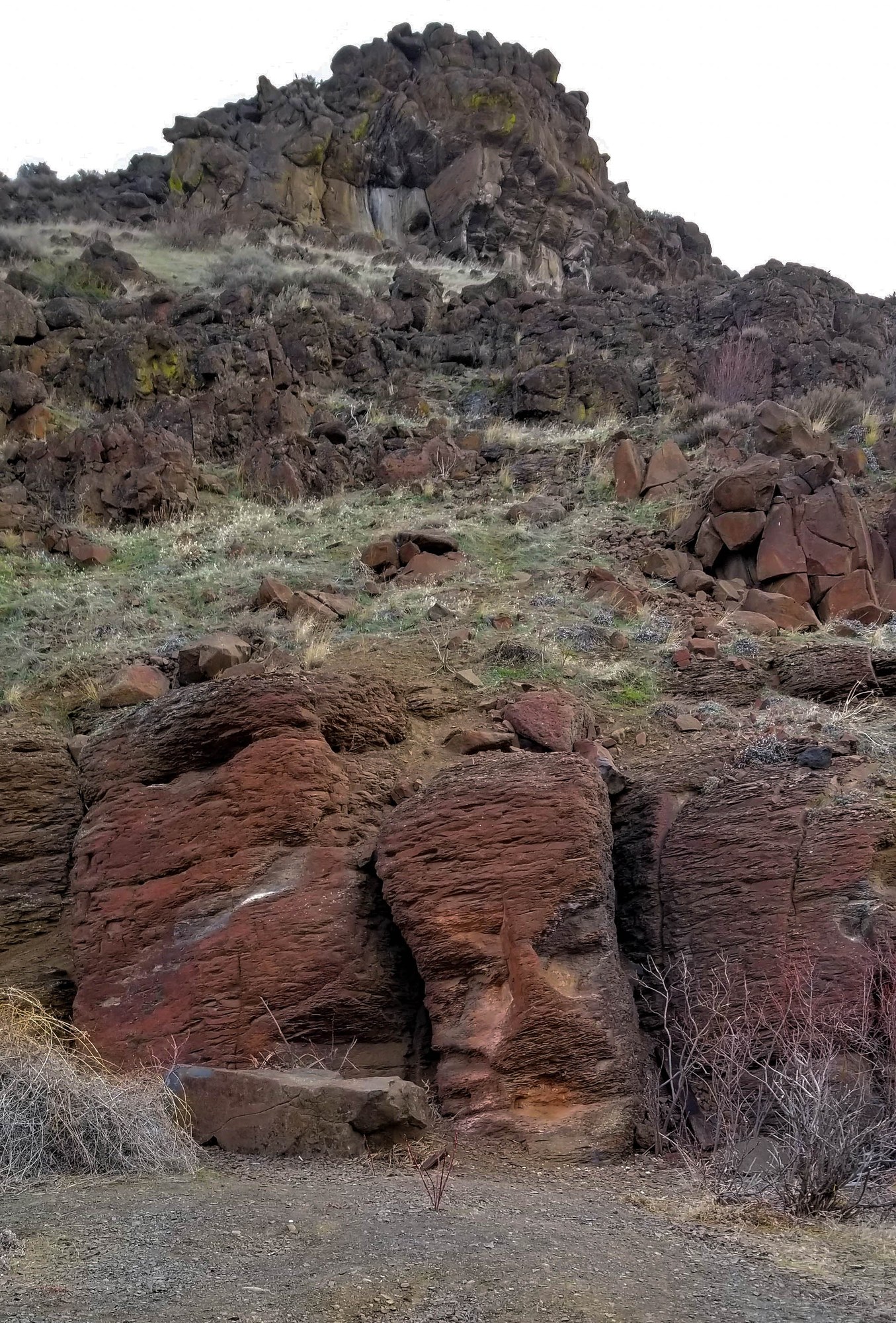 Day Hike - Cowiche Canyon — The Mountaineers