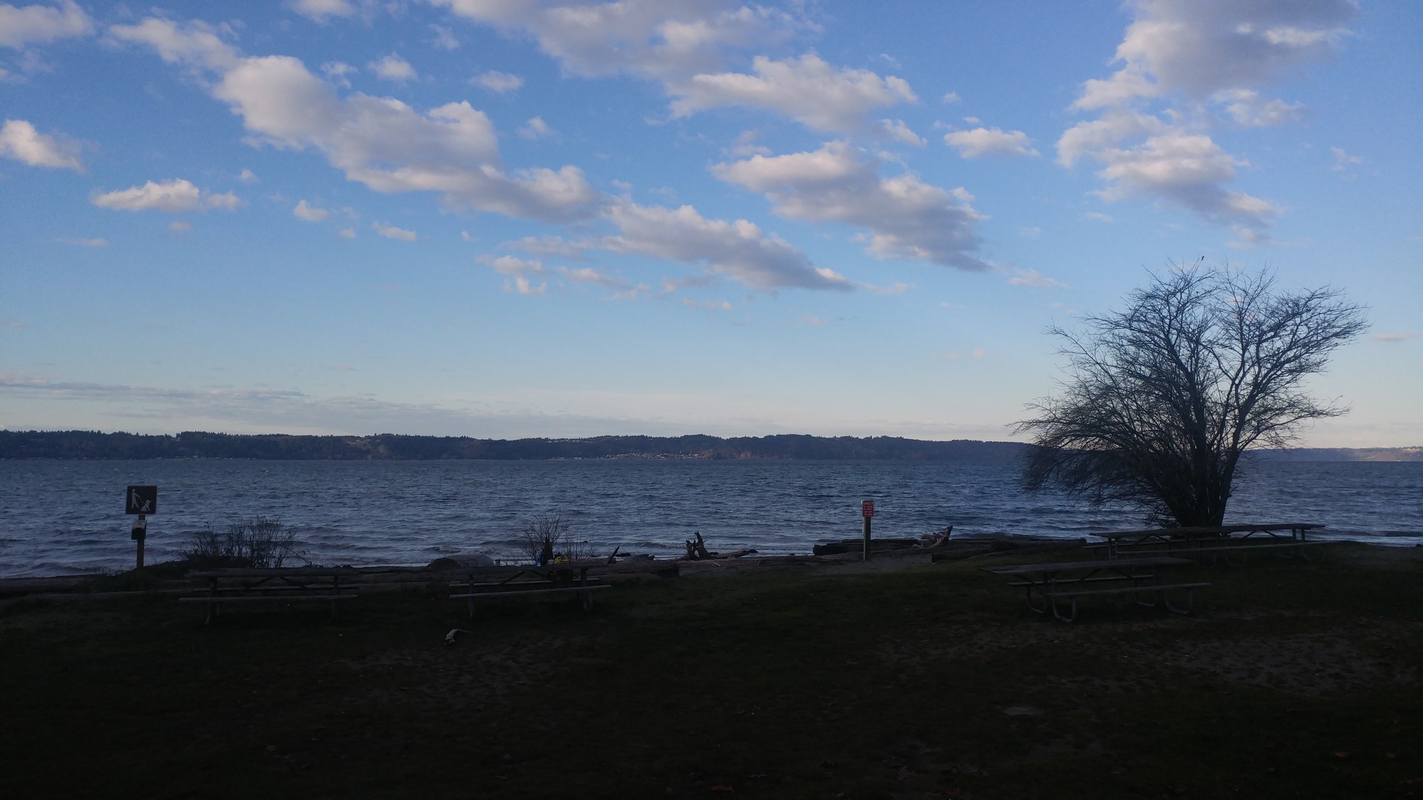 Day Hike - Dash Point State Park — The Mountaineers