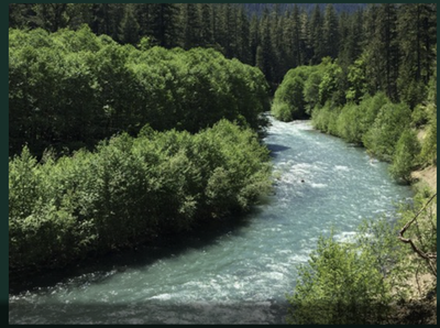 Day Hike - Dosewallips River/Abandoned National Park Road — The ...