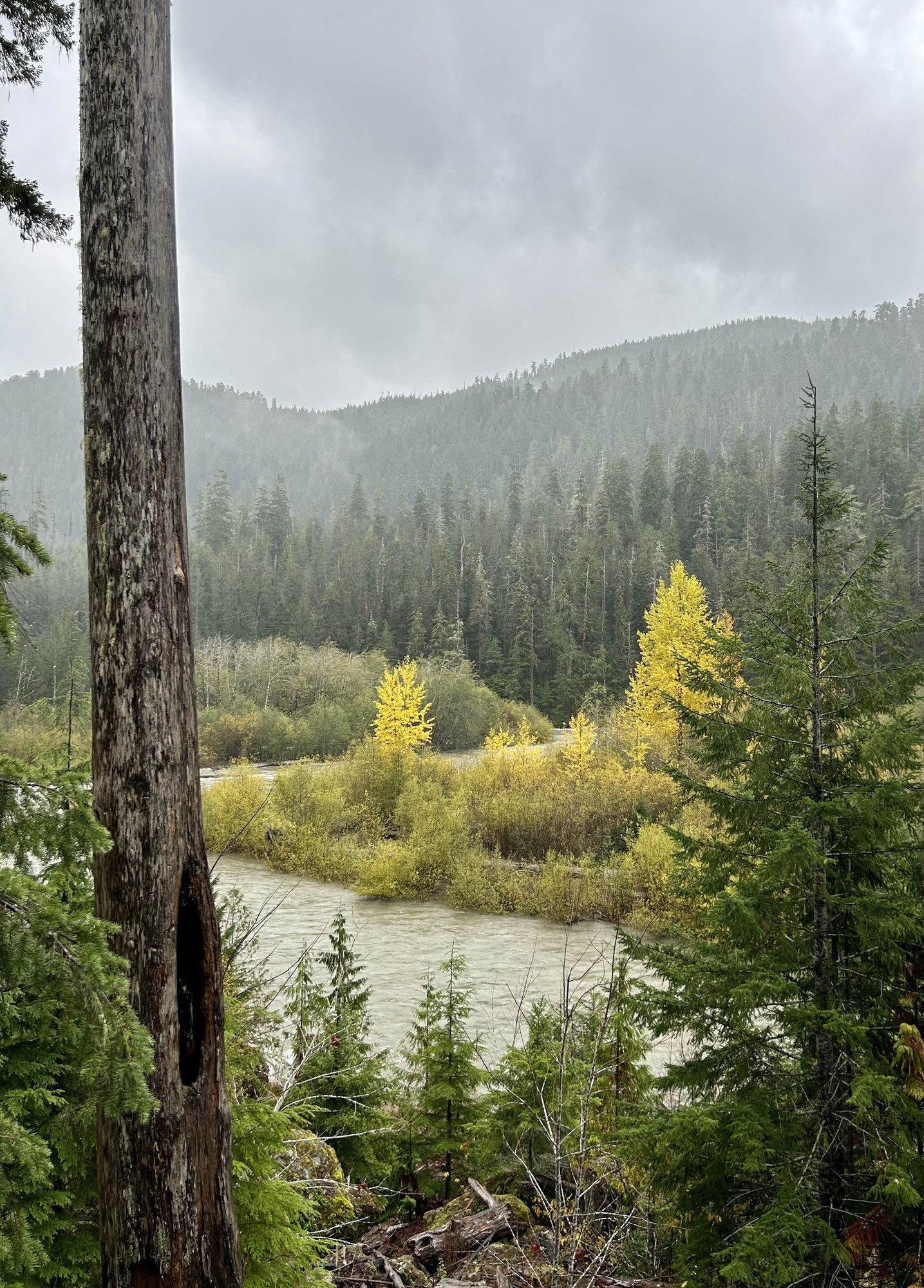 Day Hike - Four Stream & Staircase Rapids Loop — The Mountaineers