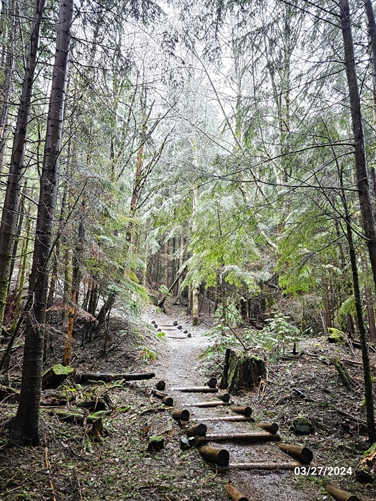 Day Hike - Grand Prospect — The Mountaineers