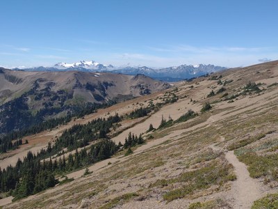 Day Hike - Grand Ridge (Olympics) — The Mountaineers