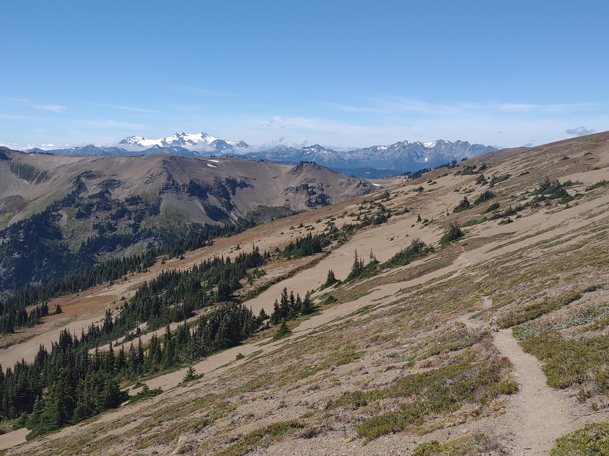 Day Hike - Grand Ridge (Olympics) — The Mountaineers