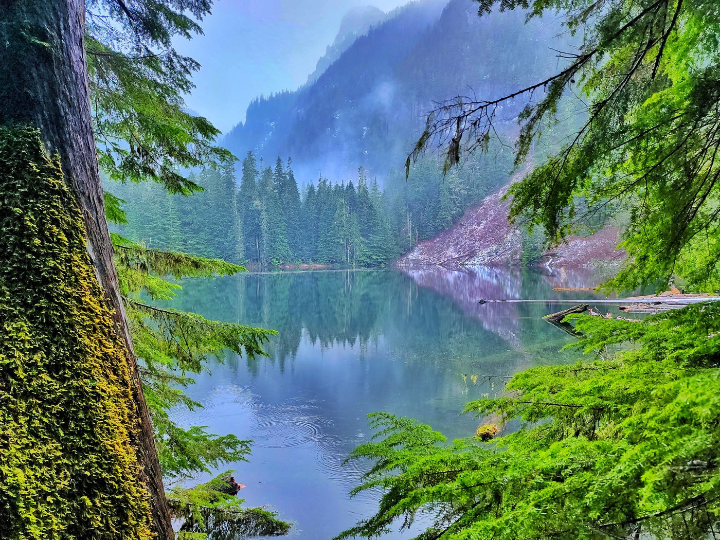 Day Hike - Green Lake (Mount Rainier) — The Mountaineers