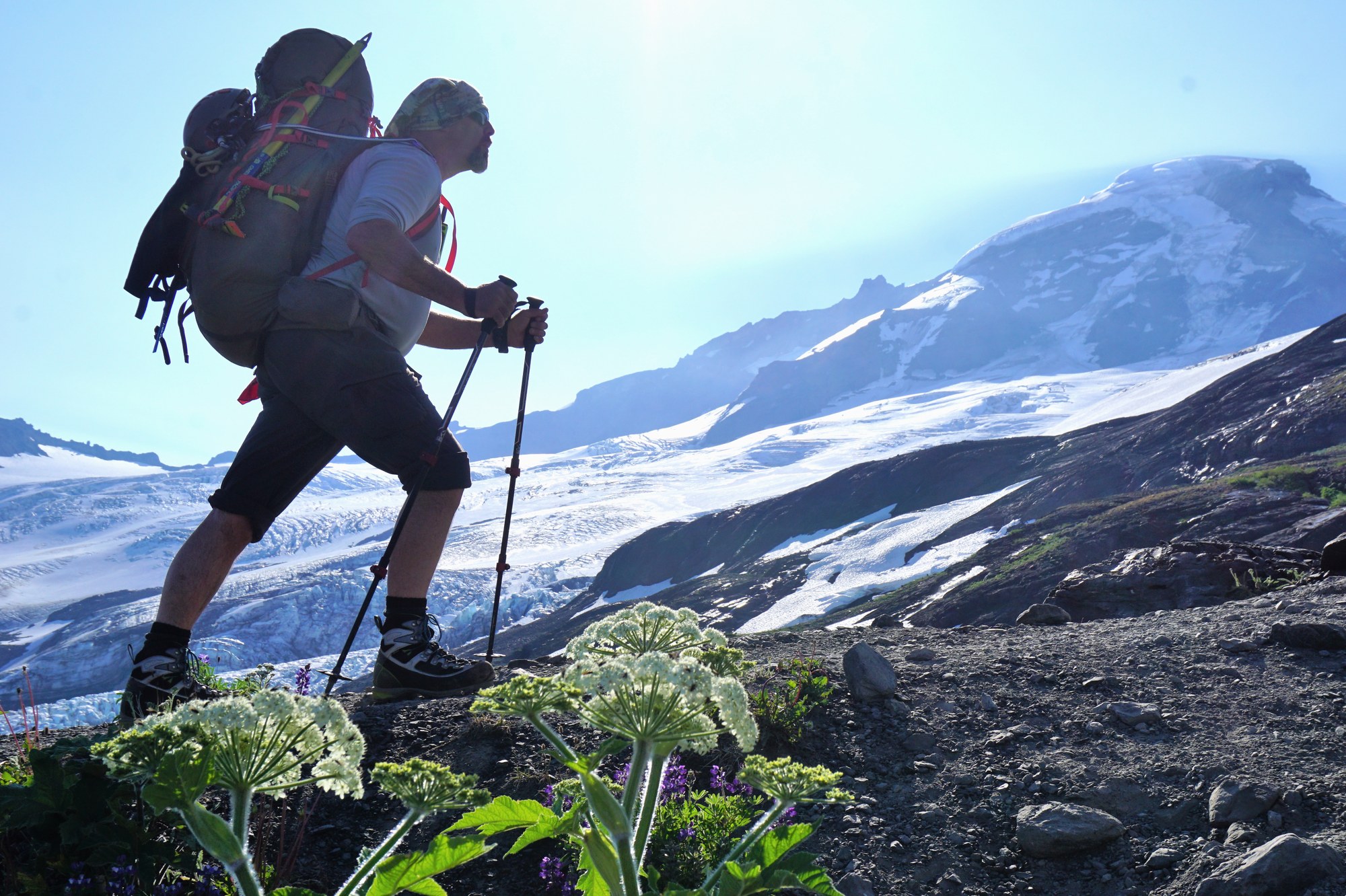 Day Hike - Green Mountain: Gold Creek Trail — The Mountaineers