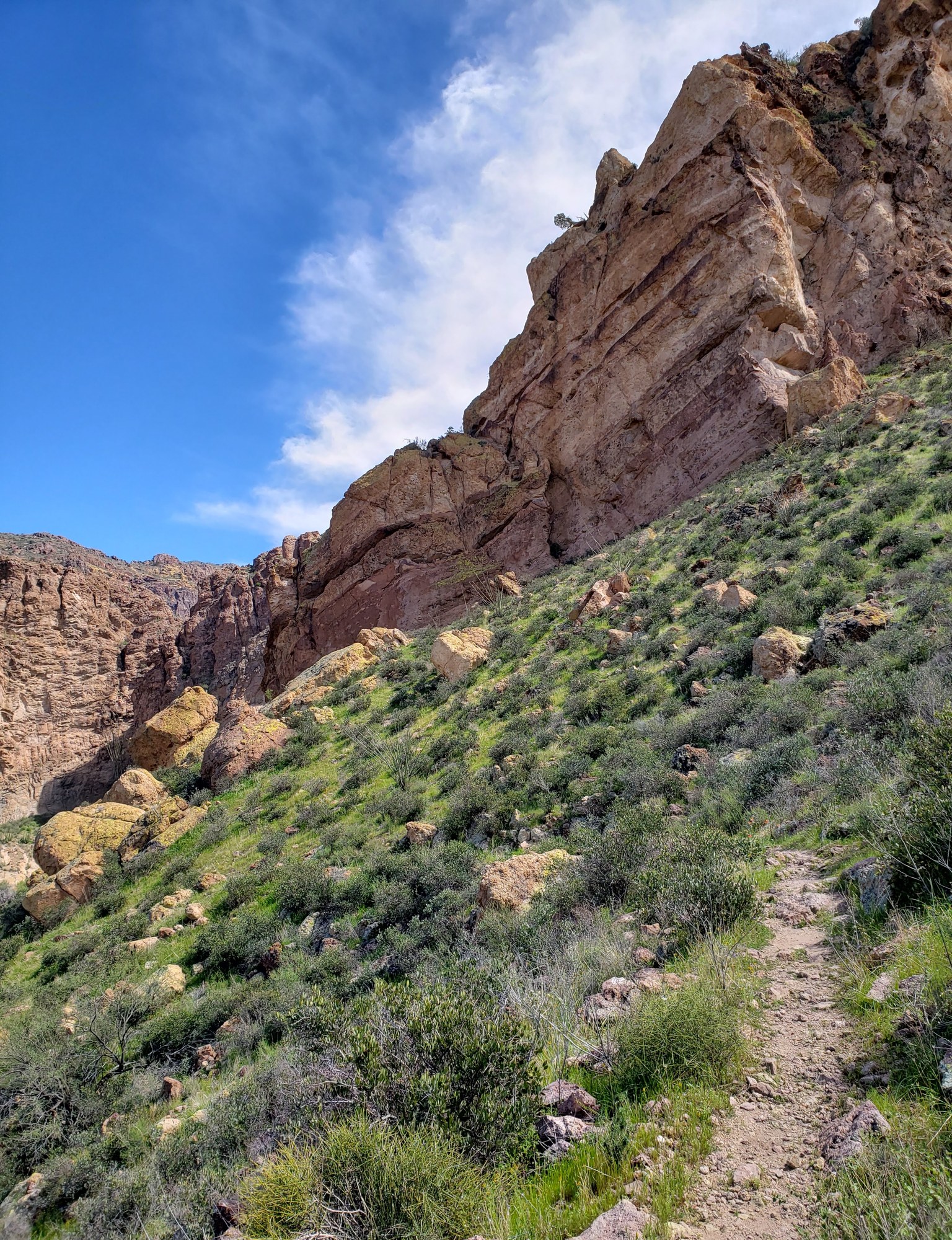 Day Hike - Mountains of Southern Arizona — The Mountaineers