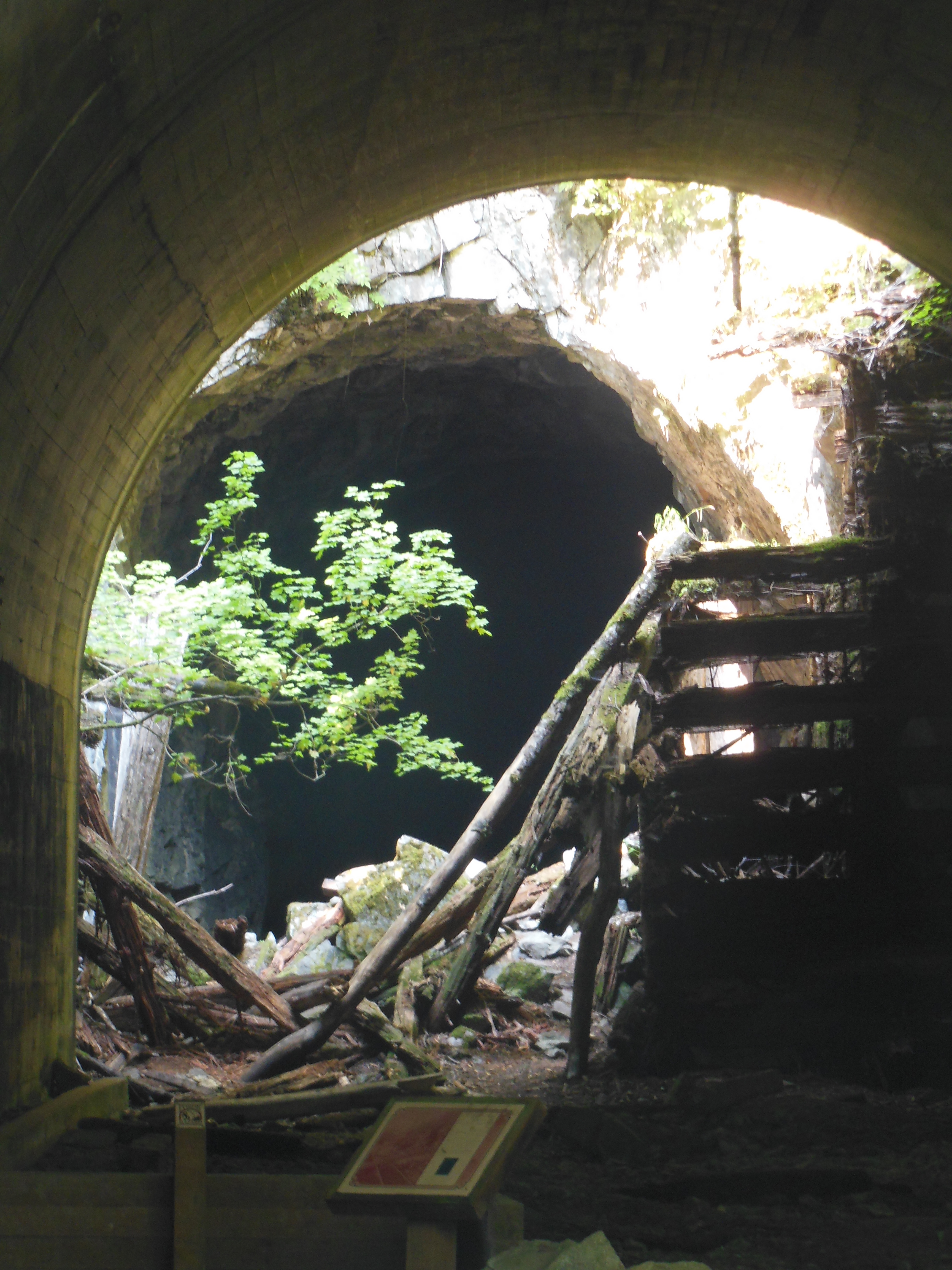 Day Hike - Iron Goat Trail — The Mountaineers