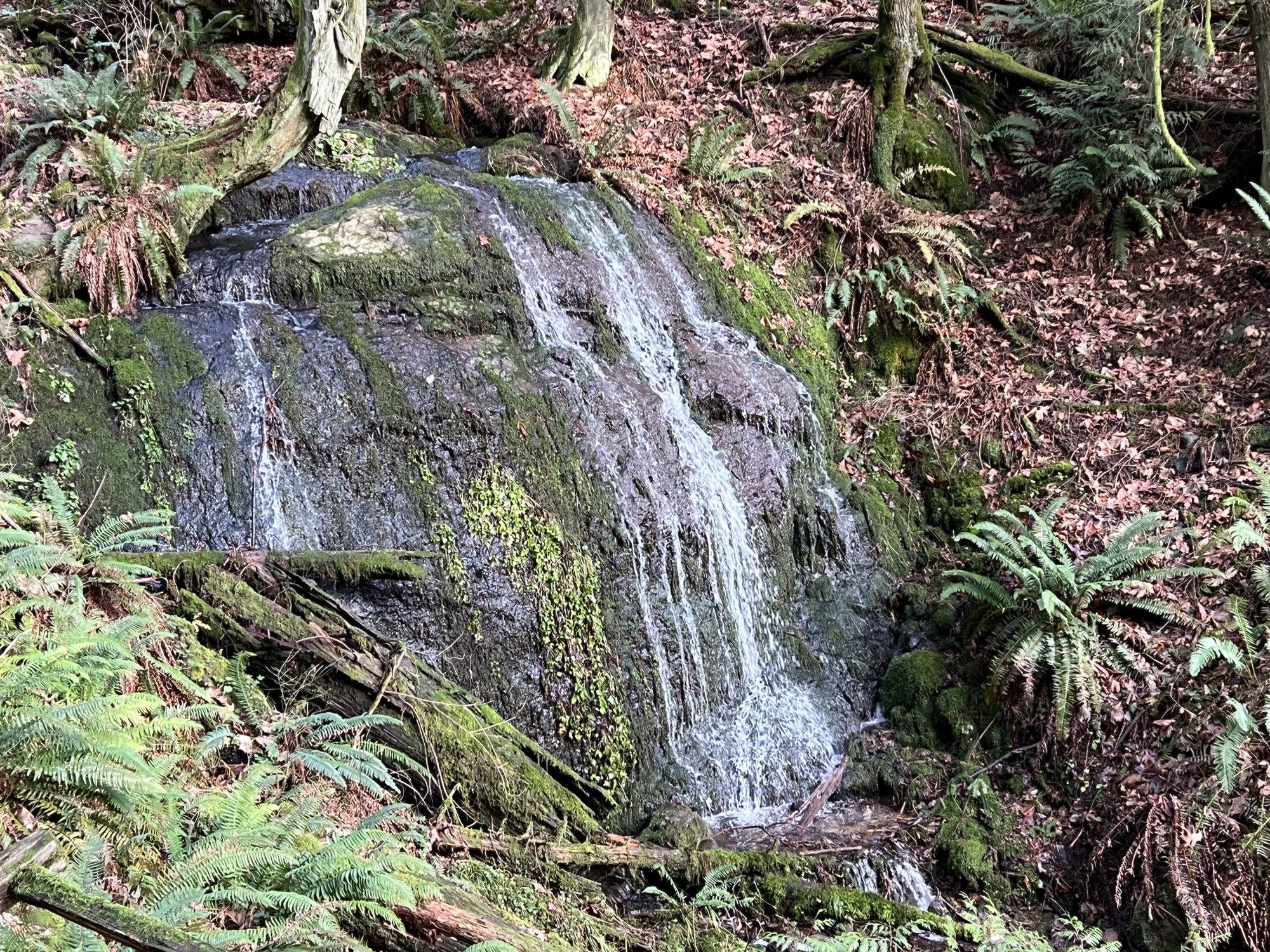 Day Hike - Jim Whittaker Wilderness Peak Trail — The Mountaineers