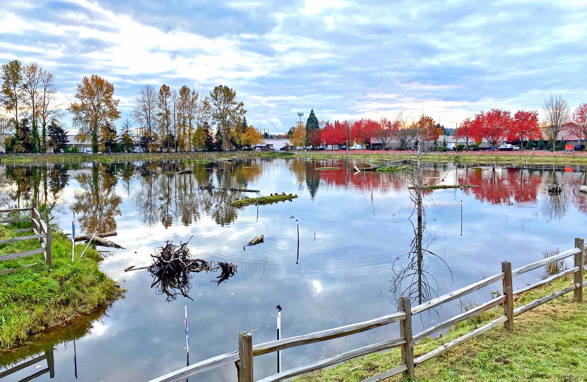 Day Hike - Kent Valley Frog Loop Trail — The Mountaineers