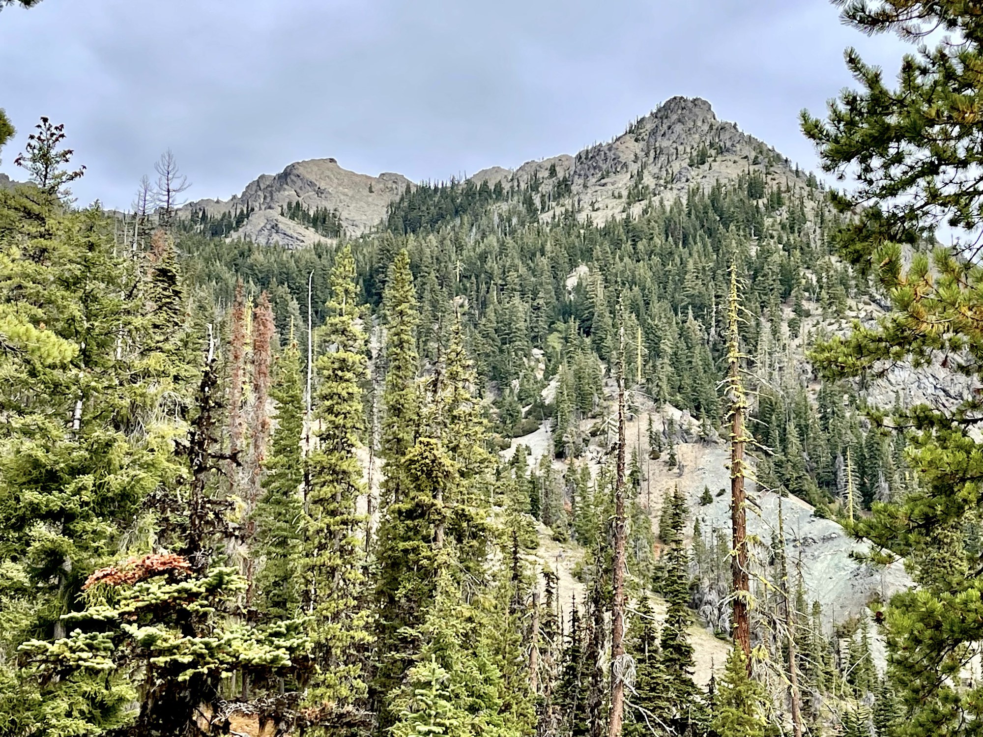 Day Hike - Koppen Mountain — The Mountaineers