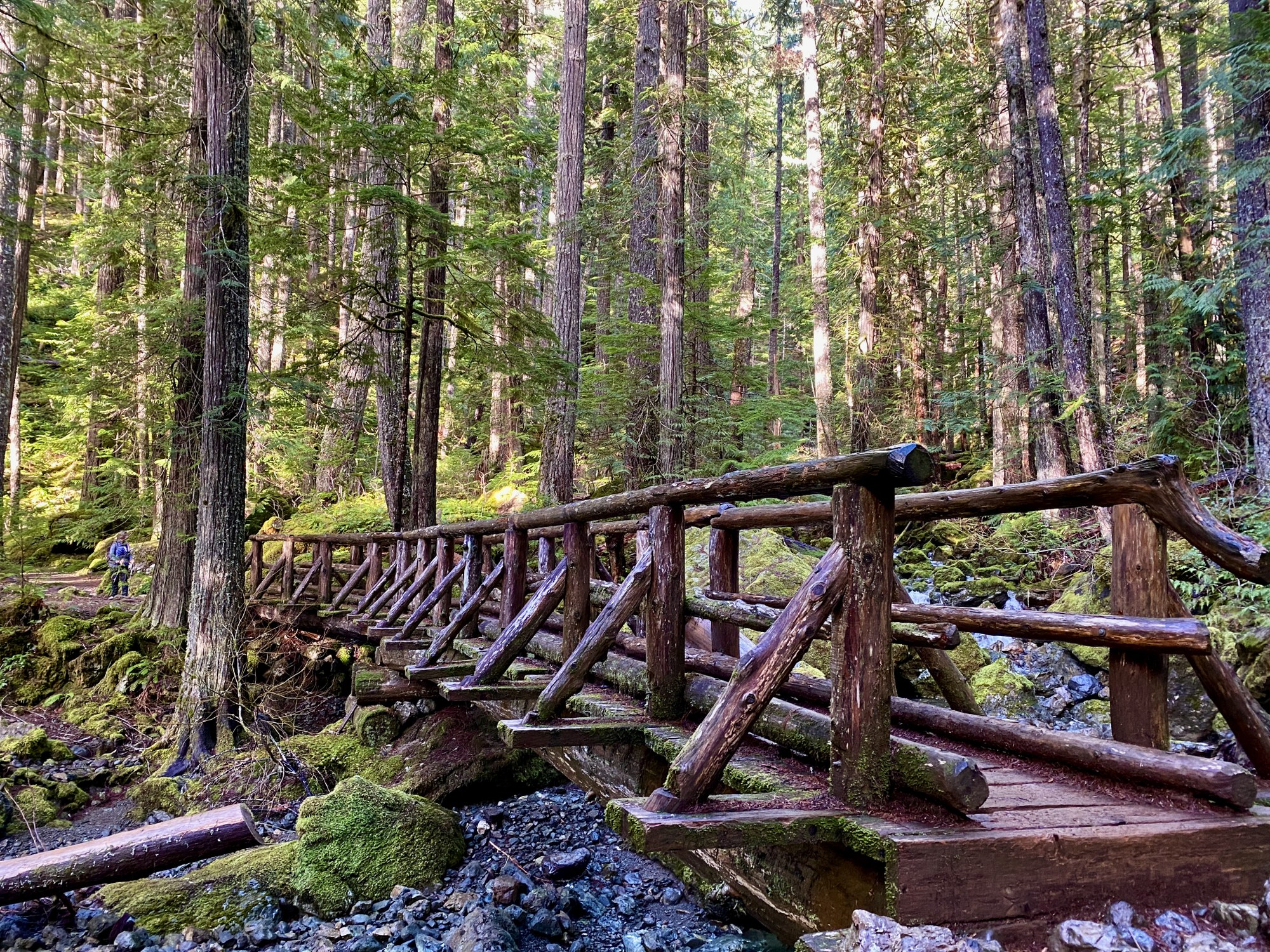 Day Hike - Lena Lake — The Mountaineers