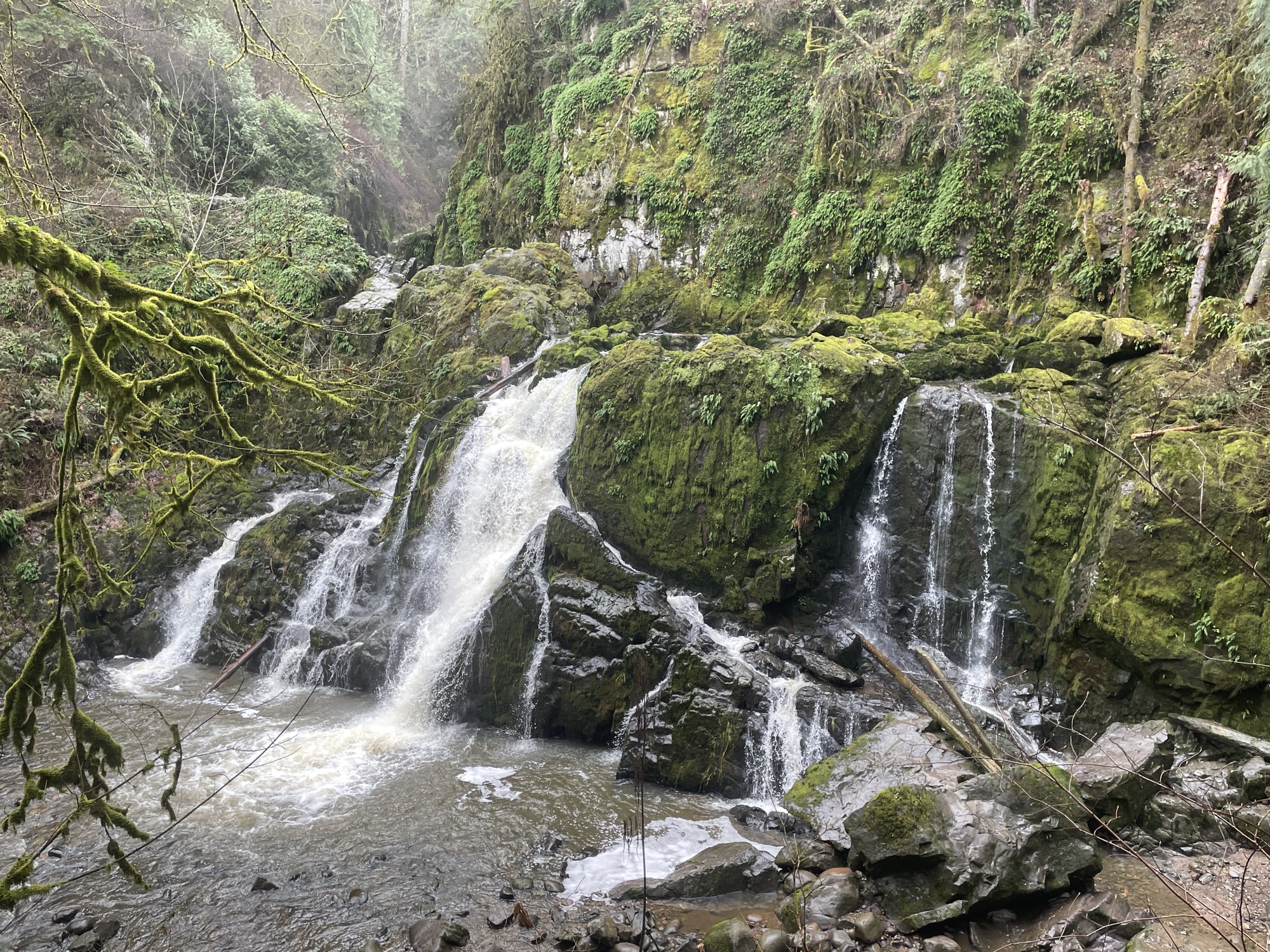 Day Hike - Little Mashel Falls — The Mountaineers