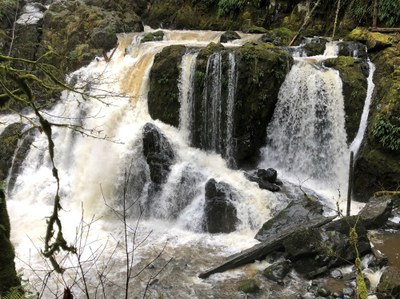 Day Hike - Little Mashel Falls — The Mountaineers