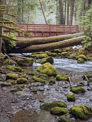 Day Hike - Lower Big Quilcene — The Mountaineers