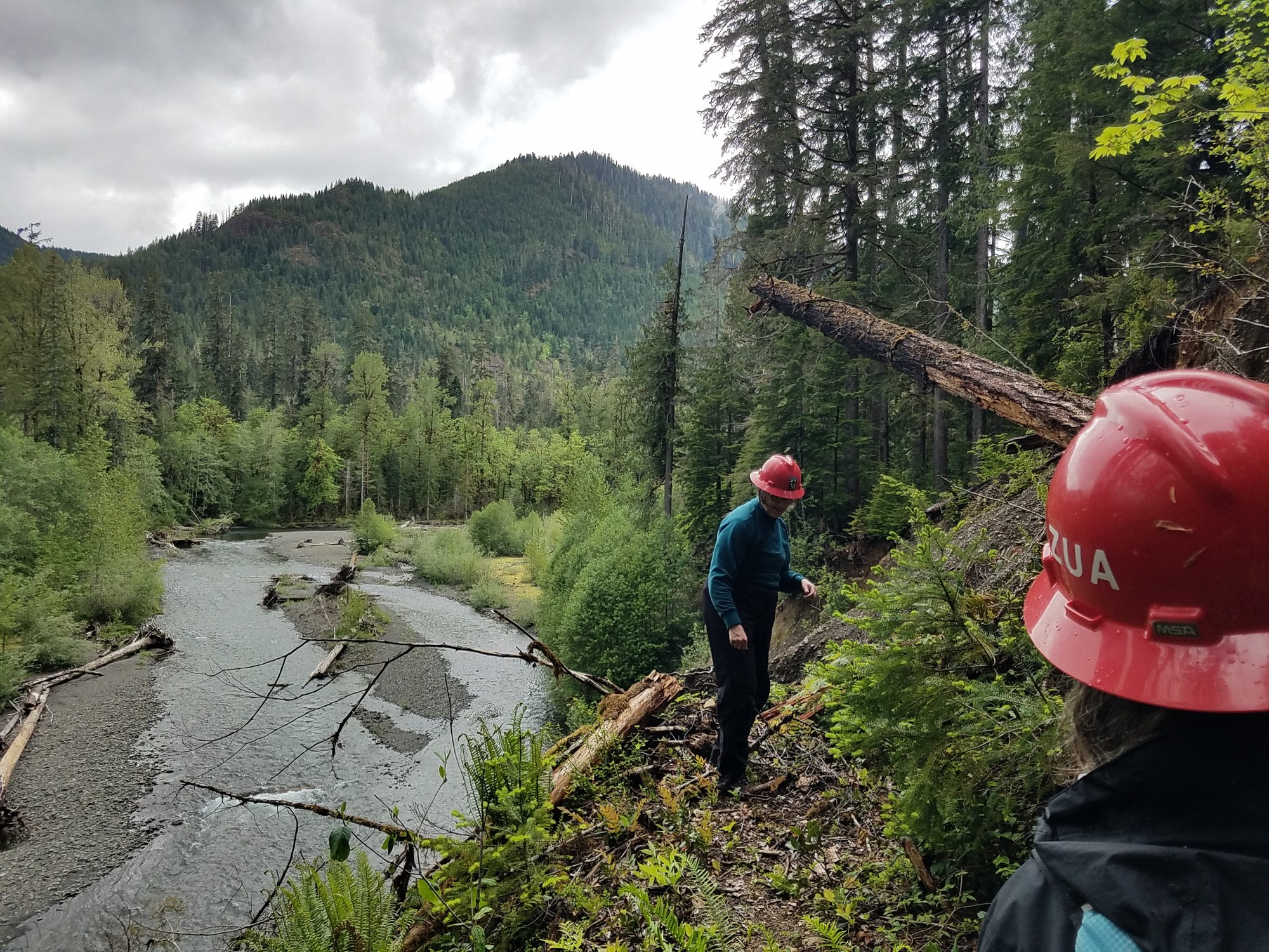 Day Hike - Lower South Fork Skokomish River — The Mountaineers