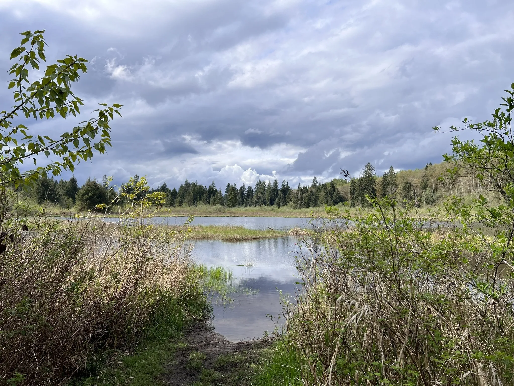 Day Hike - Moss Lake Natural Area — The Mountaineers