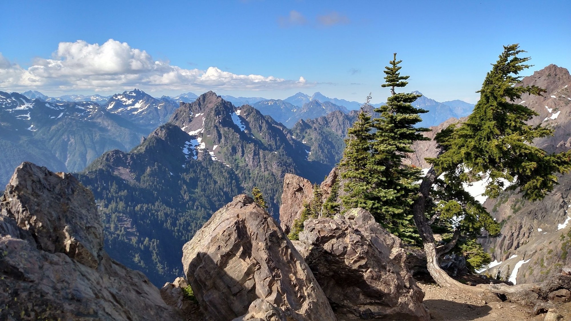 Day Hike - Mount Ellinor — The Mountaineers