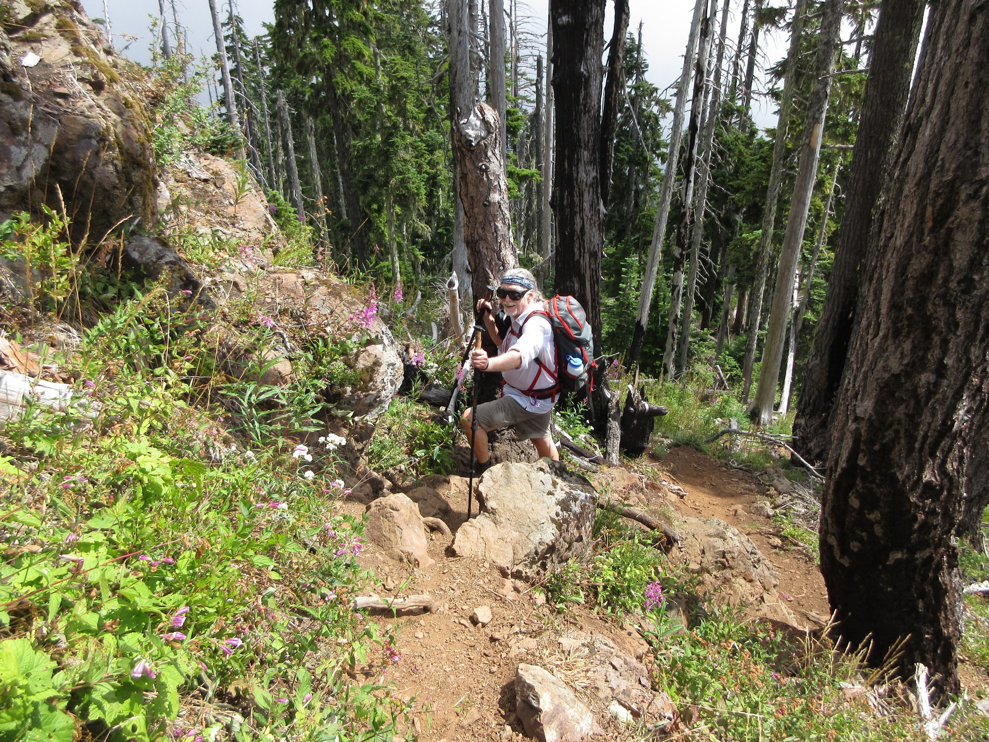 Day Hike - Mount Rose — The Mountaineers