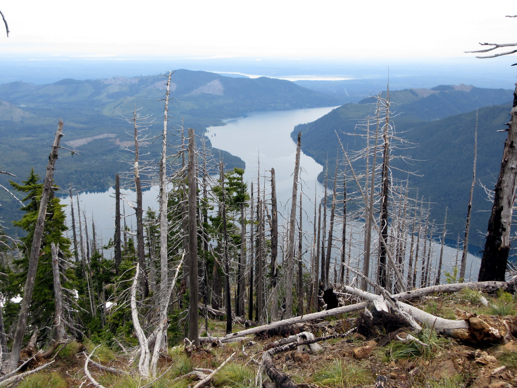 Day Hike - Mount Rose — The Mountaineers