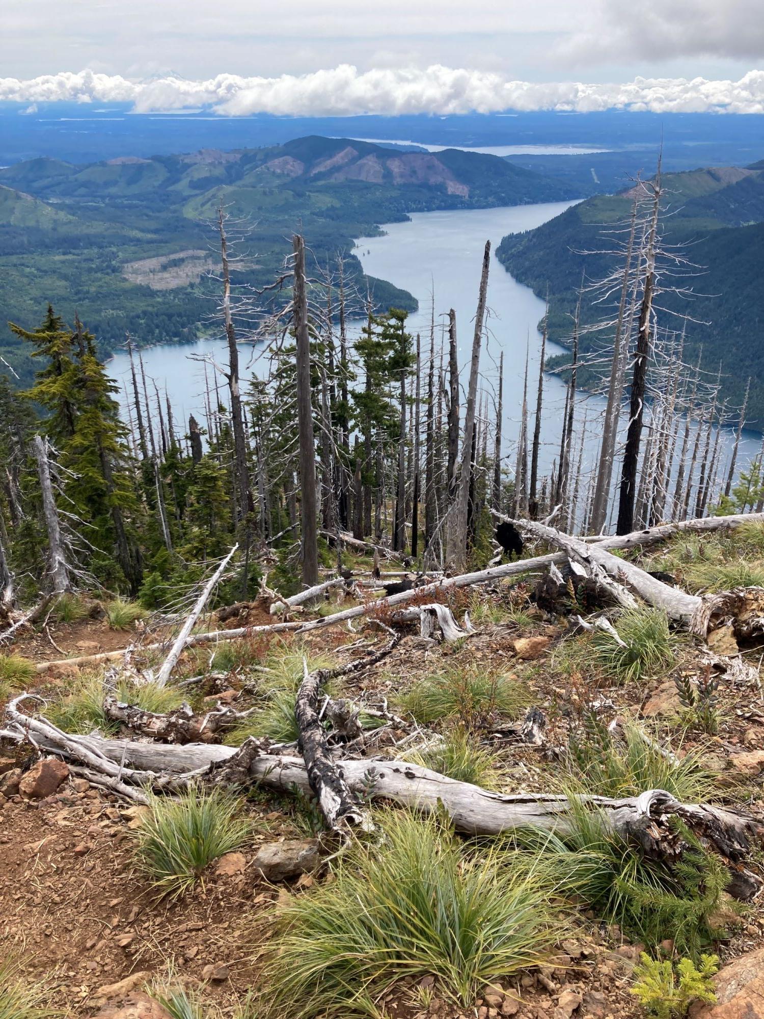 Day Hike - Mount Rose — The Mountaineers