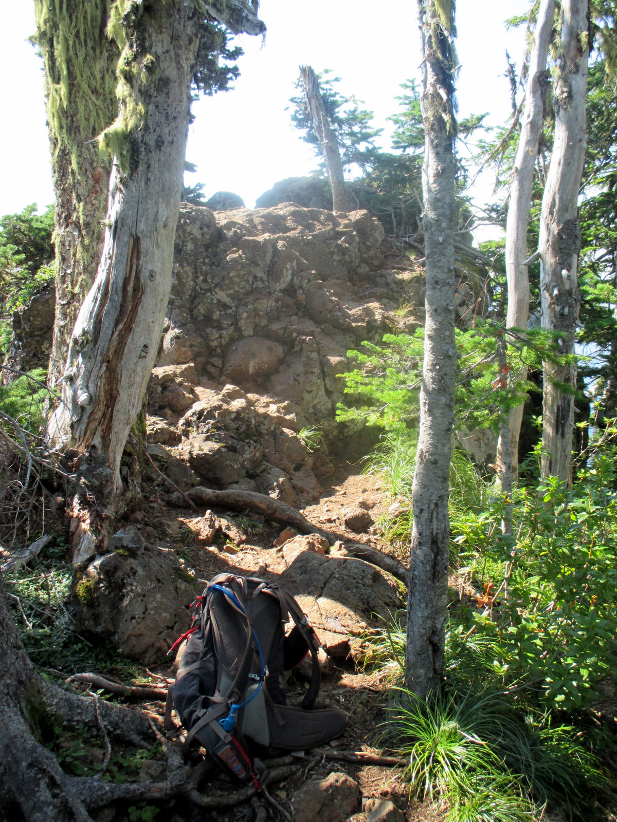Day Hike - Mount Rose — The Mountaineers