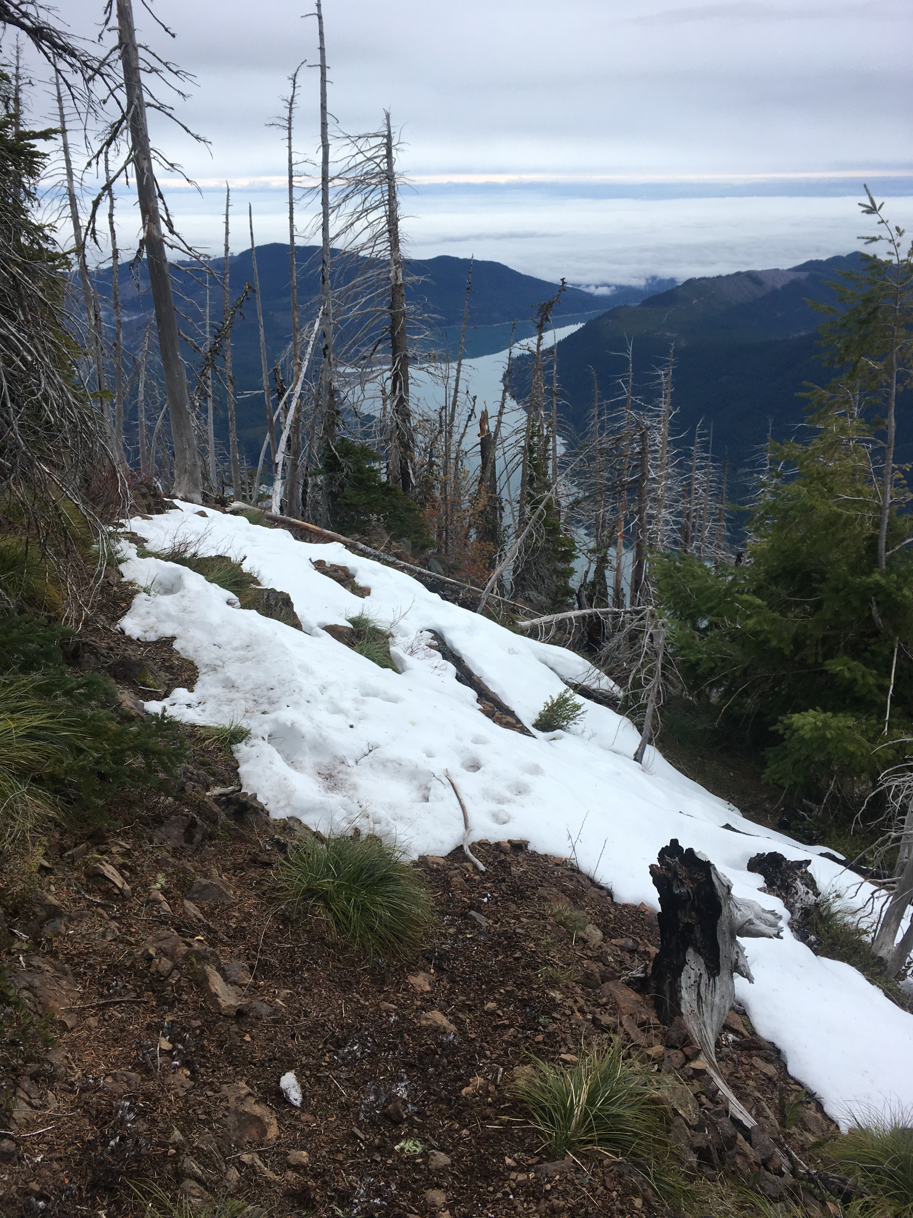 Day Hike - Mount Rose — The Mountaineers