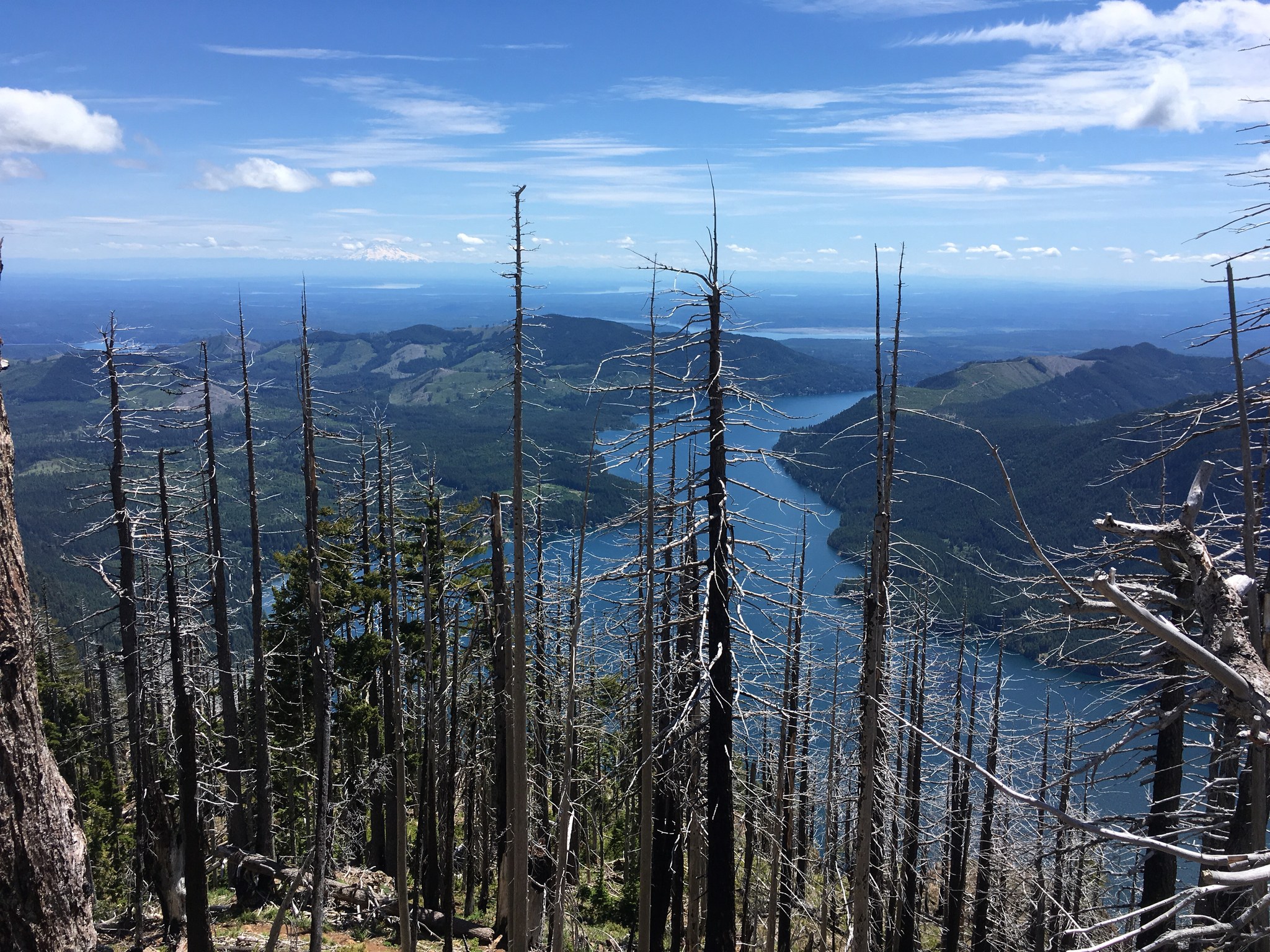 Day Hike - Mount Rose — The Mountaineers