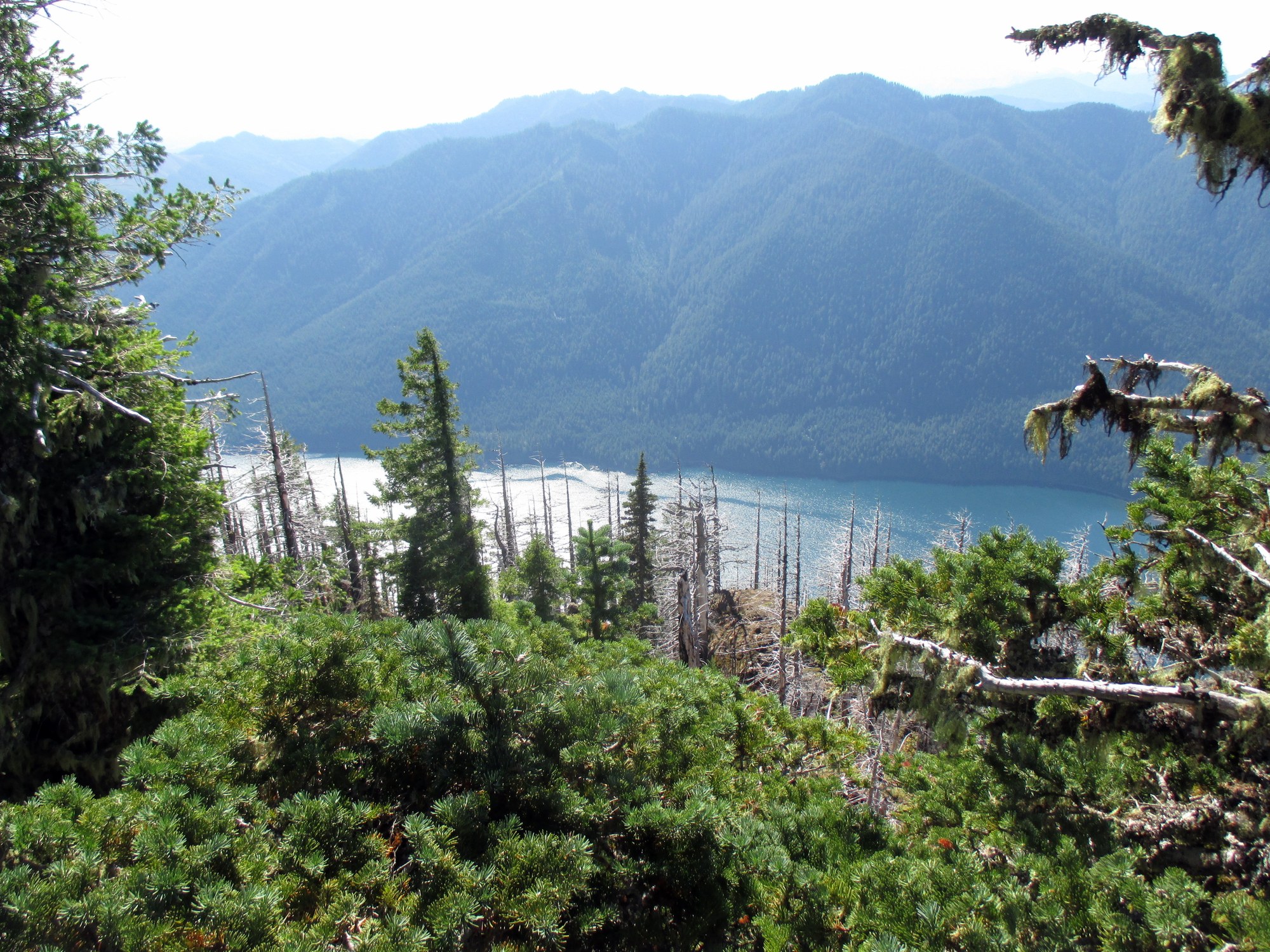 Day Hike - Mount Rose — The Mountaineers
