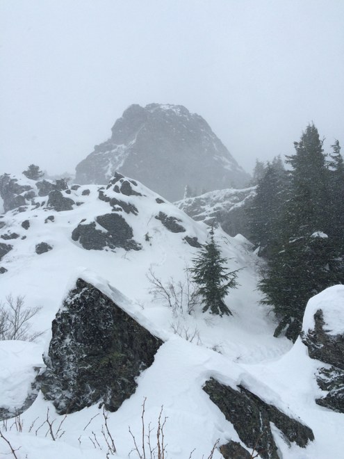Day Hike - Mount Si Main Trail — The Mountaineers