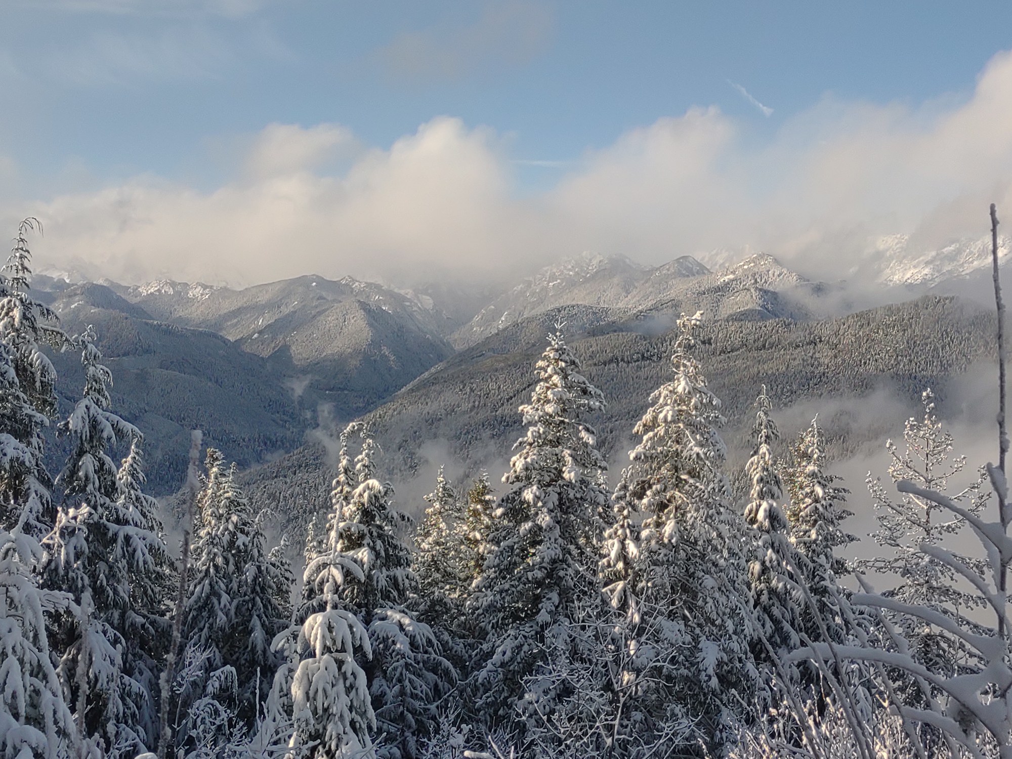 Day Hike - Mount Walker — The Mountaineers