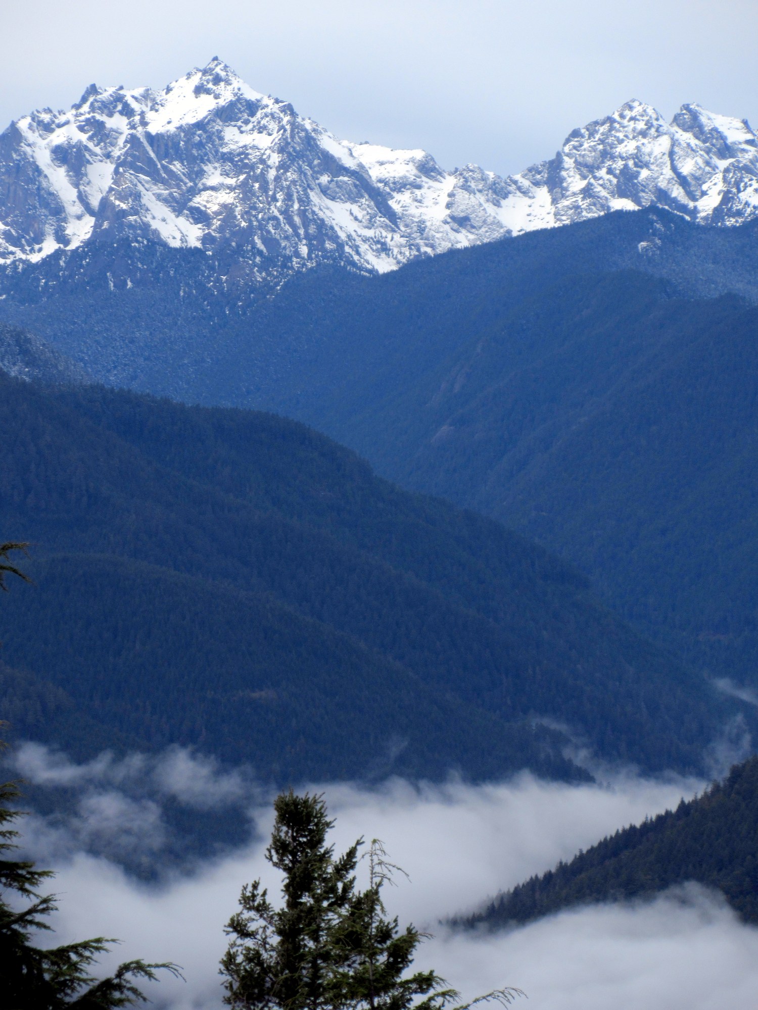 Day Hike - Mount Walker — The Mountaineers