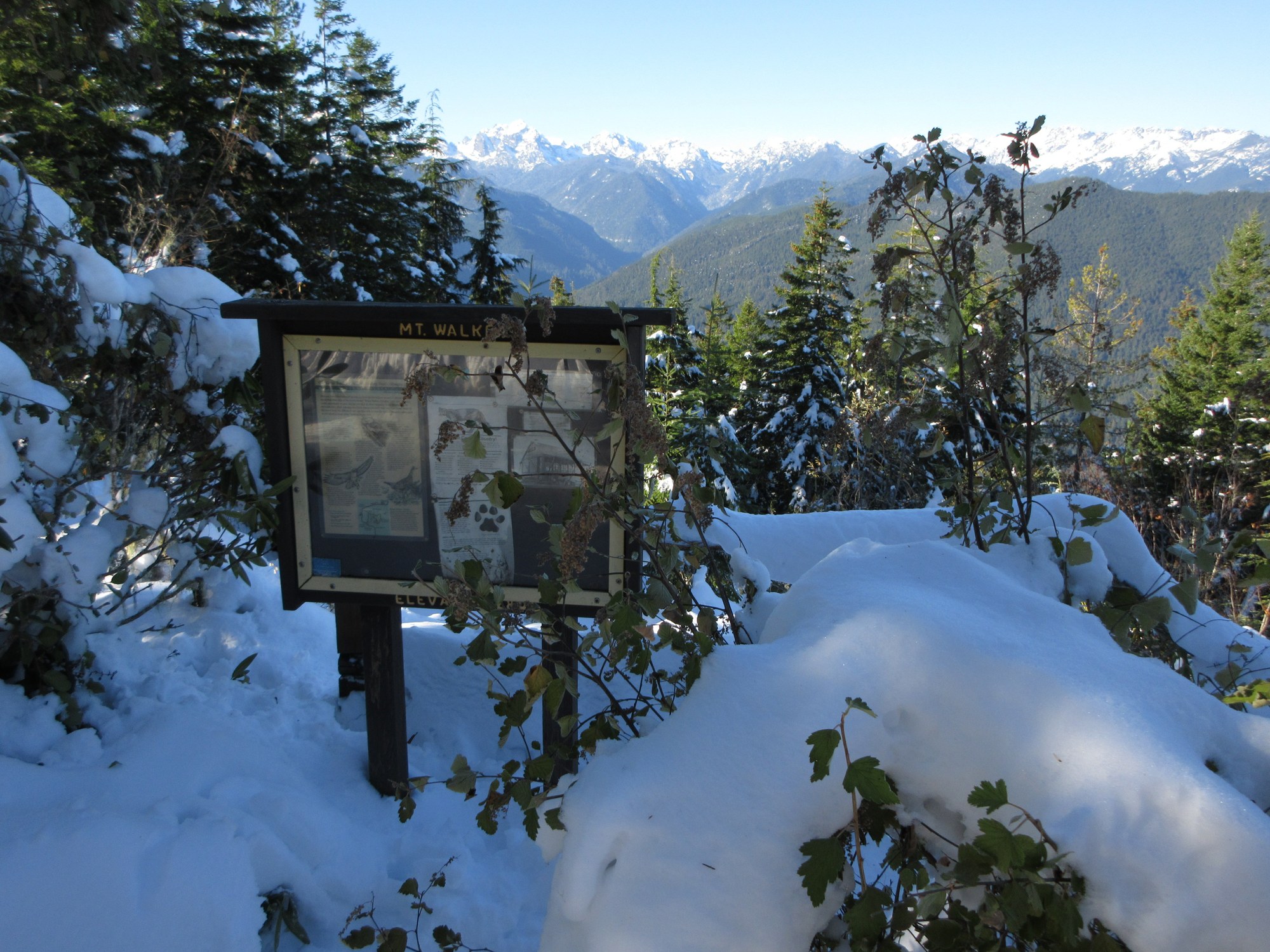 Day Hike - Mount Walker — The Mountaineers