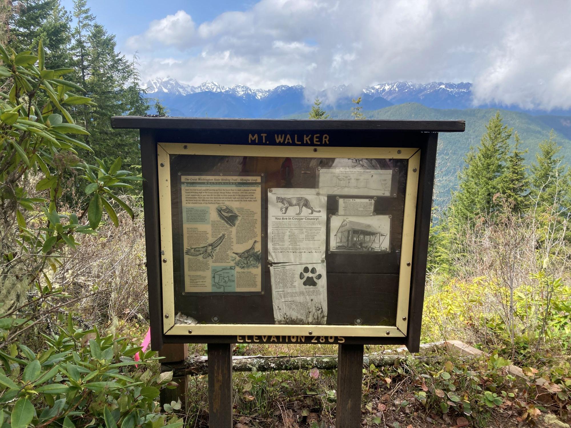 Day Hike - Mount Walker — The Mountaineers