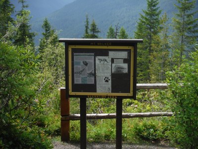 Day Hike - Mount Walker — The Mountaineers