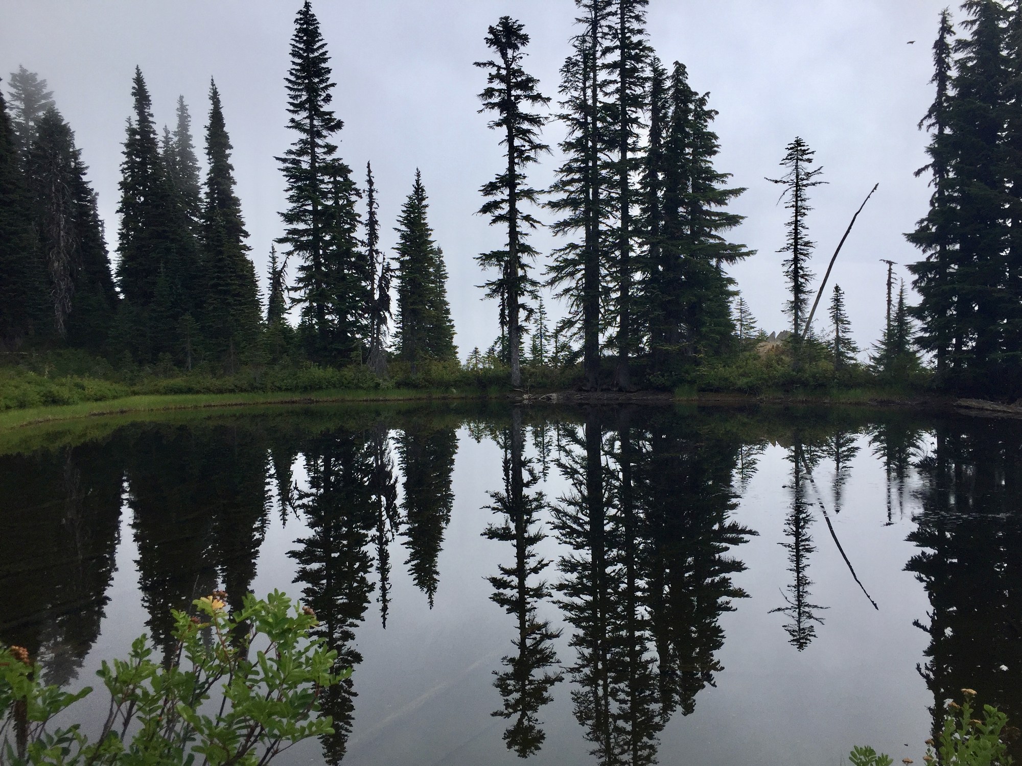 Day Hike - Narada Falls & Reflection Lakes Loop — The Mountaineers