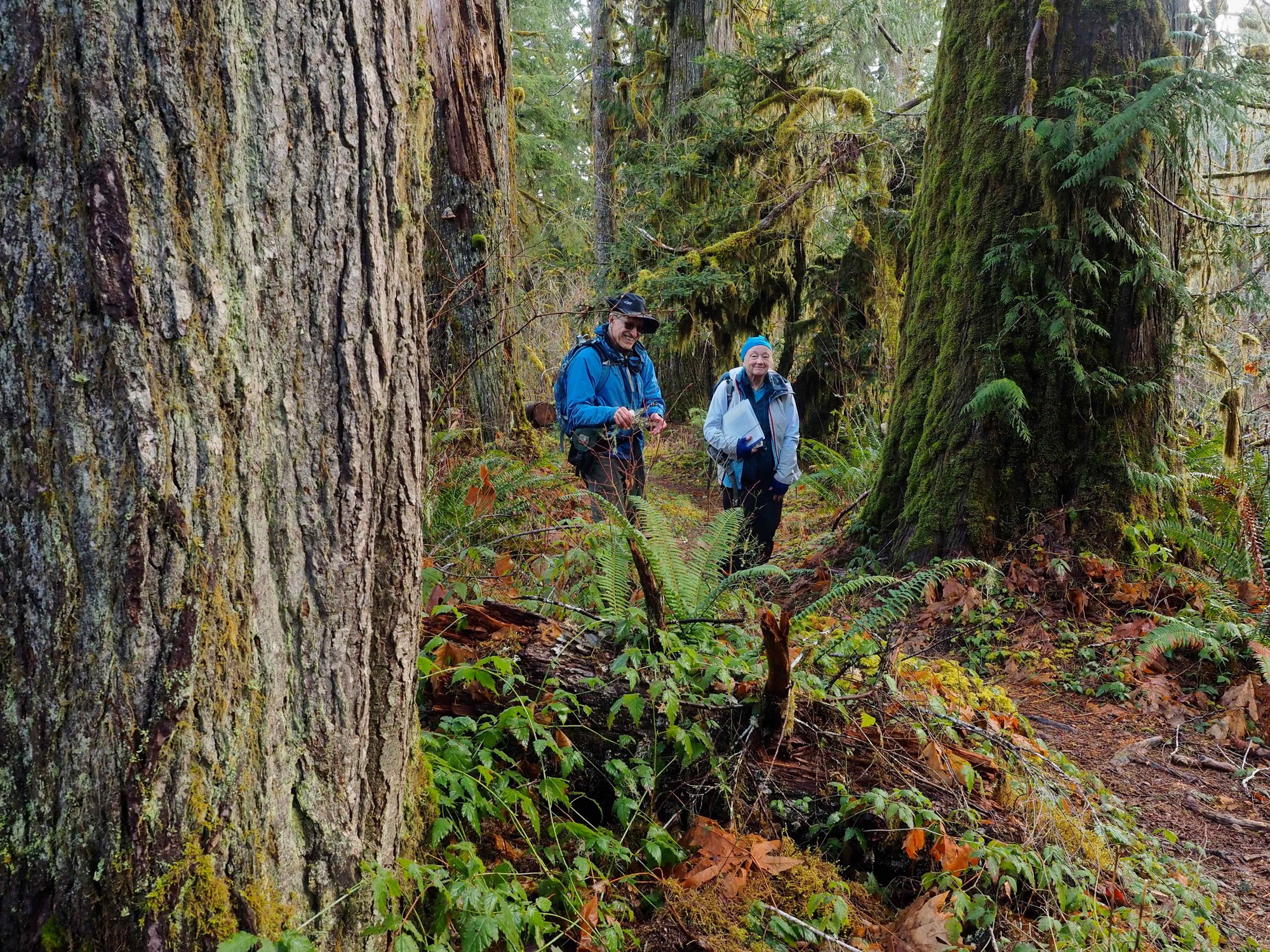 Day Hike - North Fork Sauk River — The Mountaineers