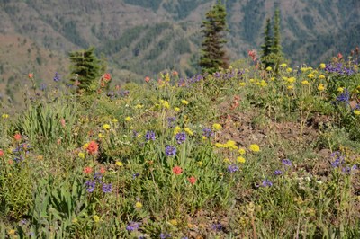 Day Hike - Oregon Butte — The Mountaineers