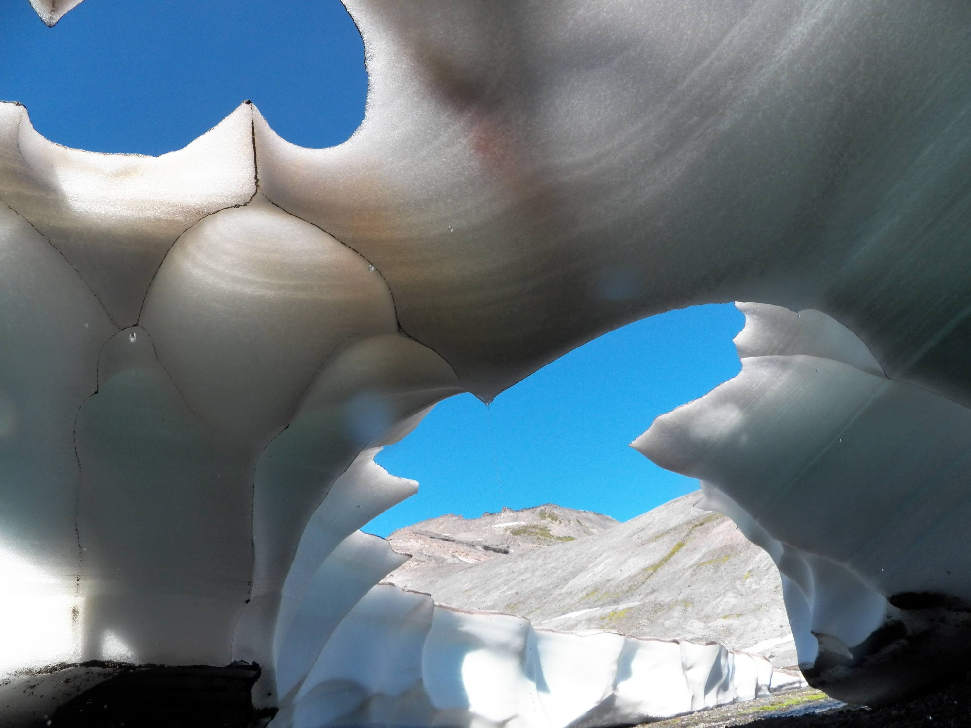 Day Hike - Paradise Area — The Mountaineers