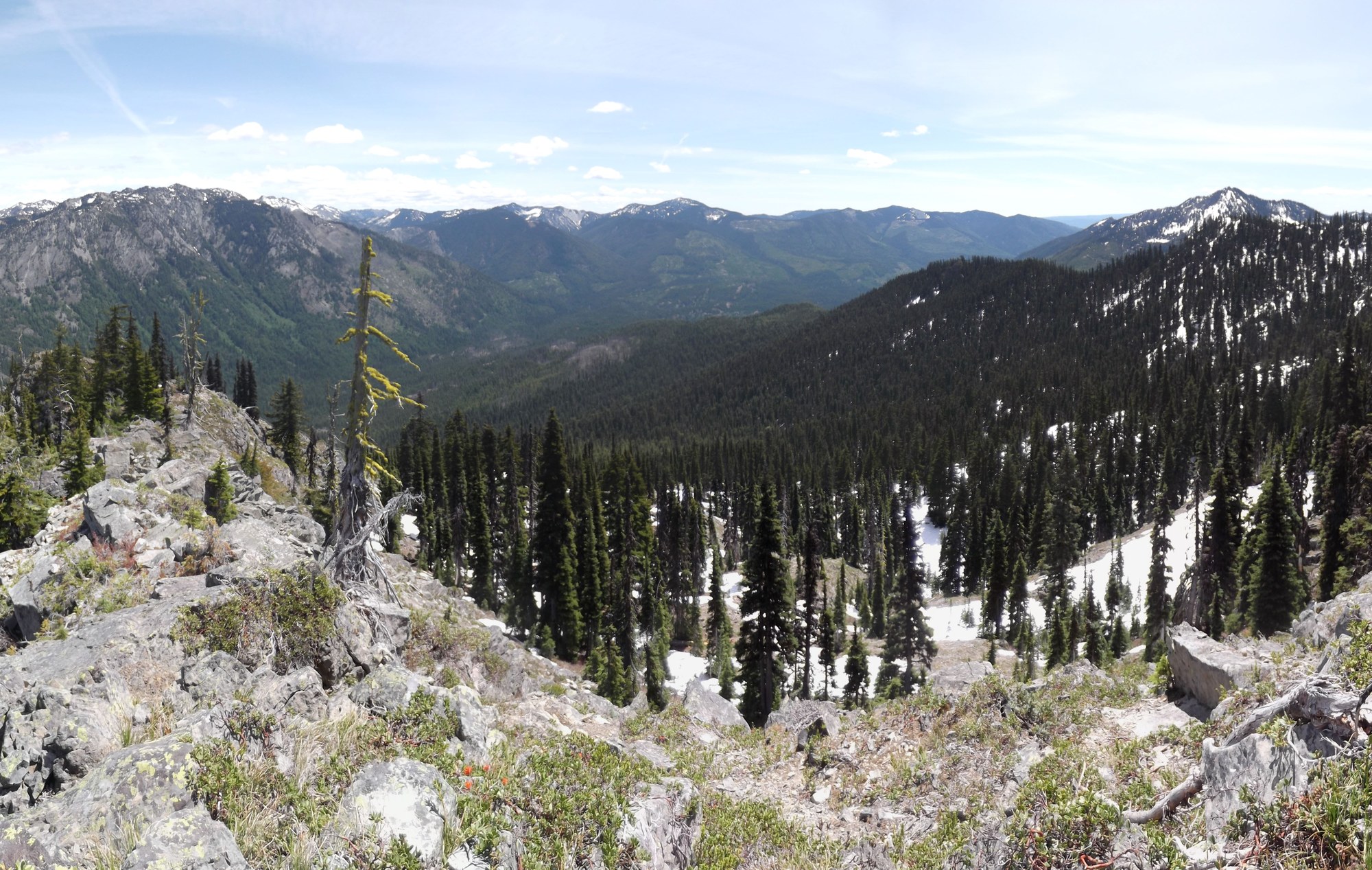 Day Hike - Polallie Ridge/Tired Creek — The Mountaineers