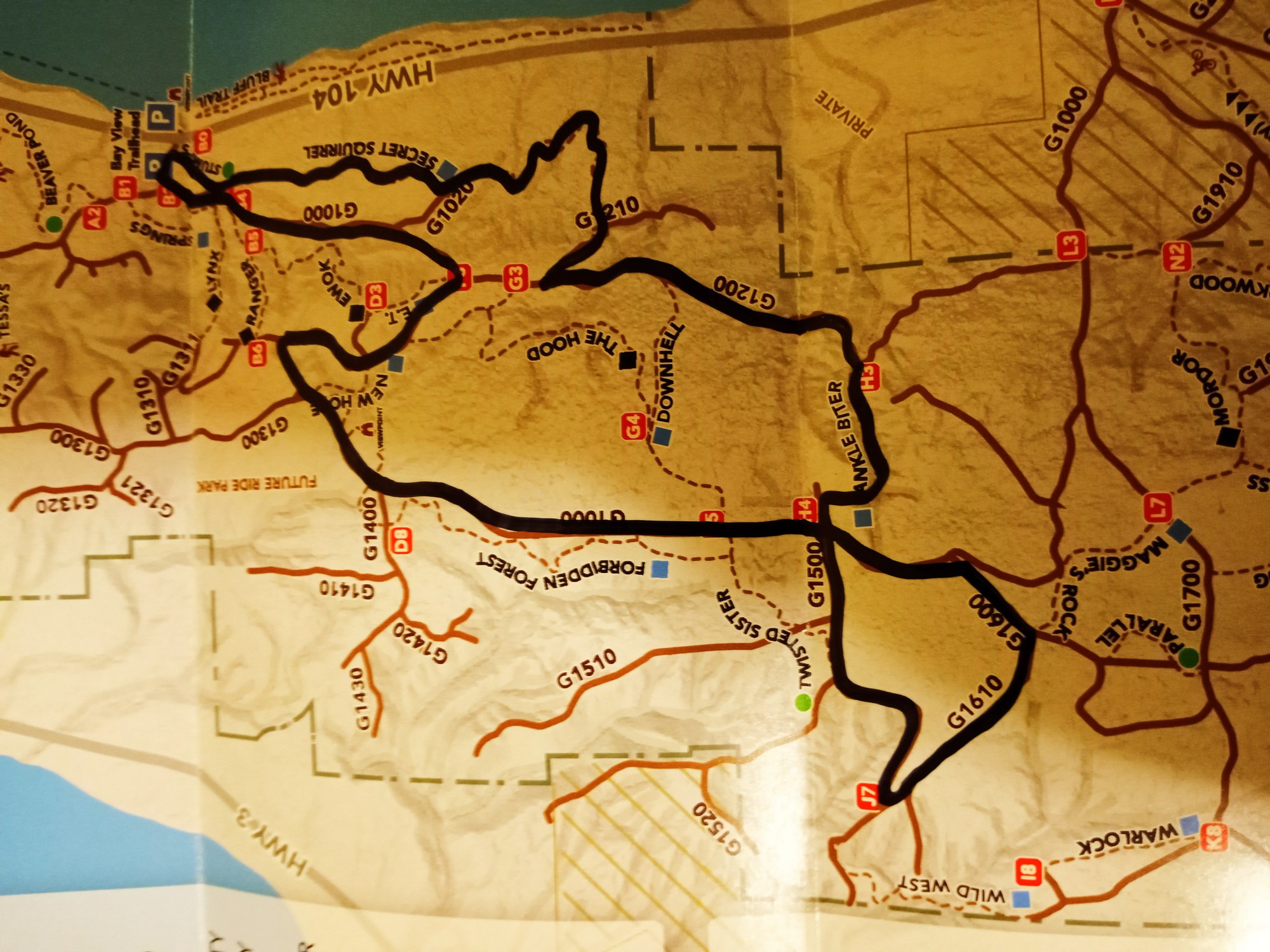 Day Hike - Port Gamble Forest Heritage Park — The Mountaineers