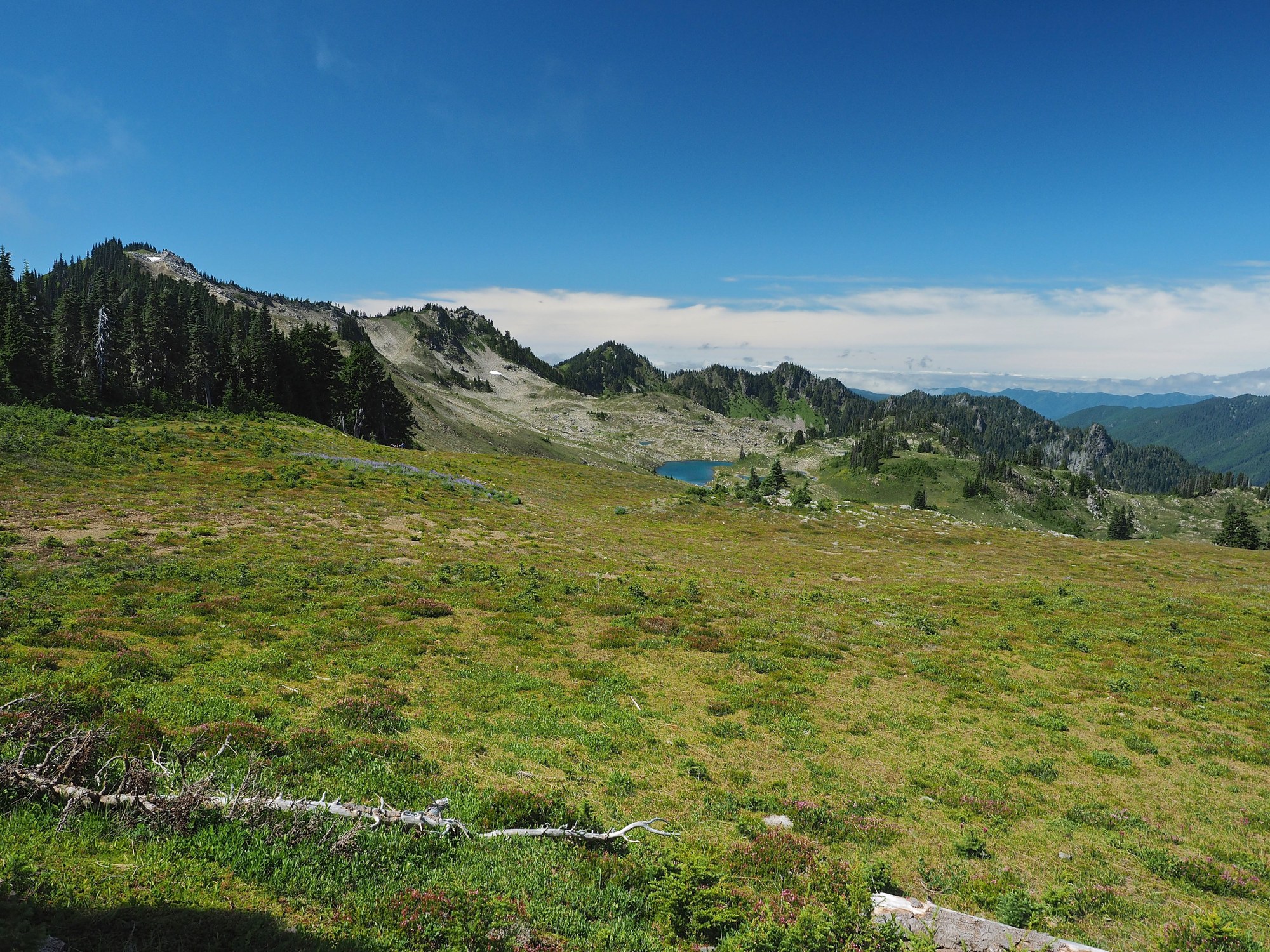 Day Hike - Seven Lakes Basin & High Divide — The Mountaineers