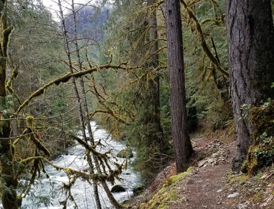 Day Hike - Skookum Flats — The Mountaineers