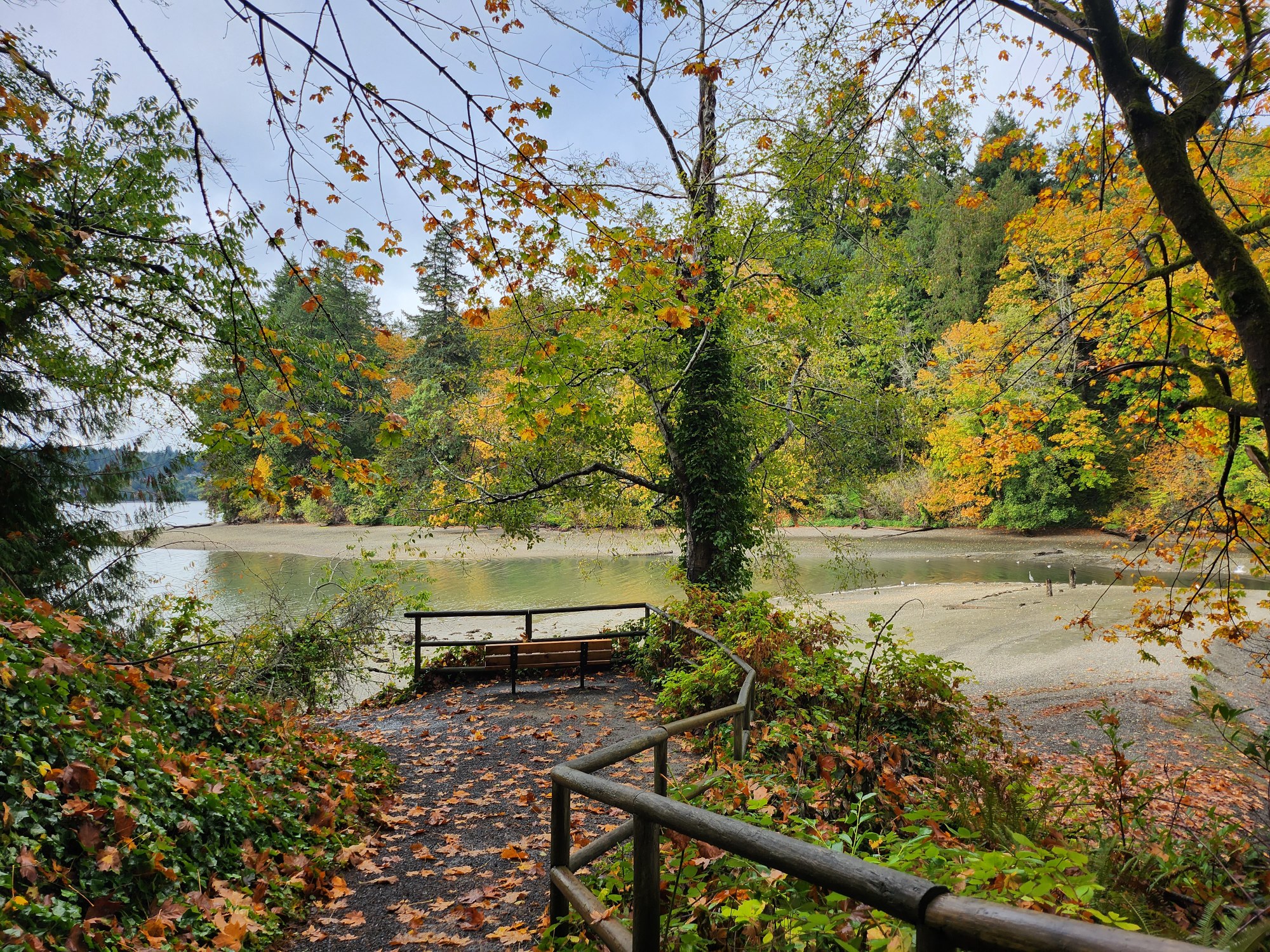 Day Hike - Squaxin Park — The Mountaineers