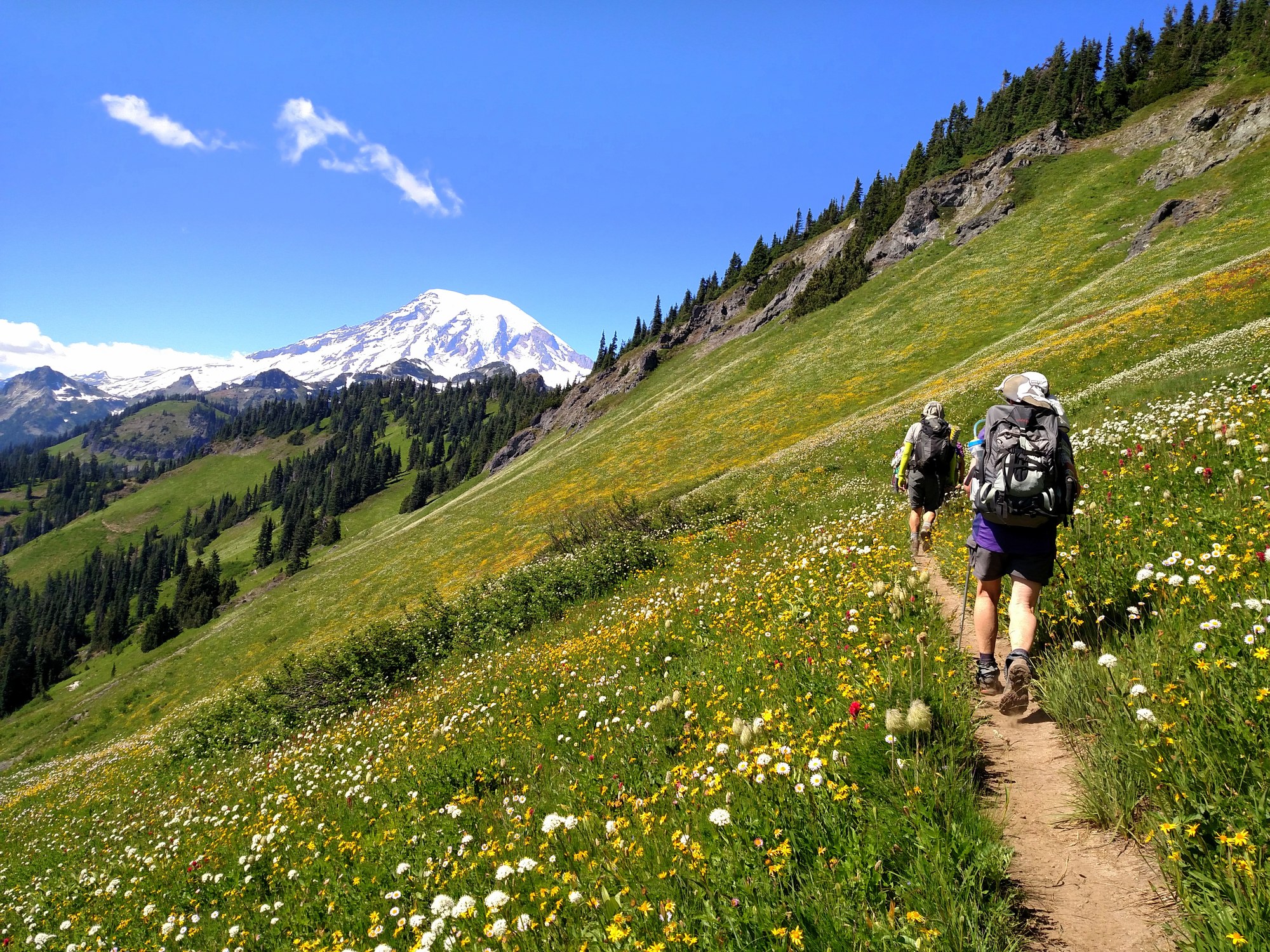 Day Hike - Tatoosh Ridge — The Mountaineers