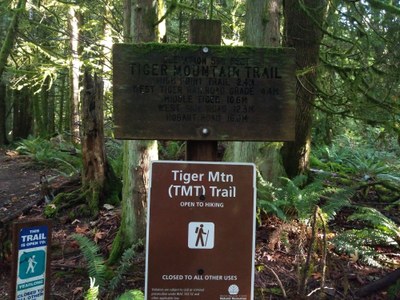 Day Hike - Tiger Mountain Trail — The Mountaineers