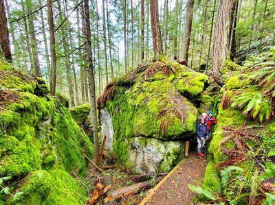 Day Hike - Tiger Mountain Trail — The Mountaineers