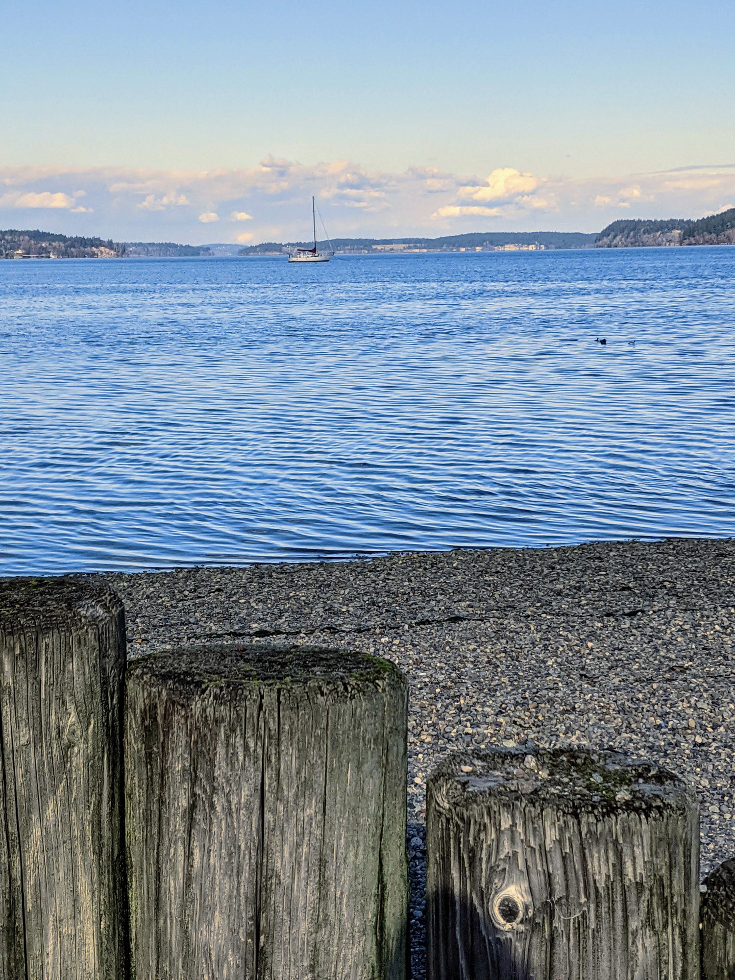 Day Hike - Tolmie State Park — The Mountaineers