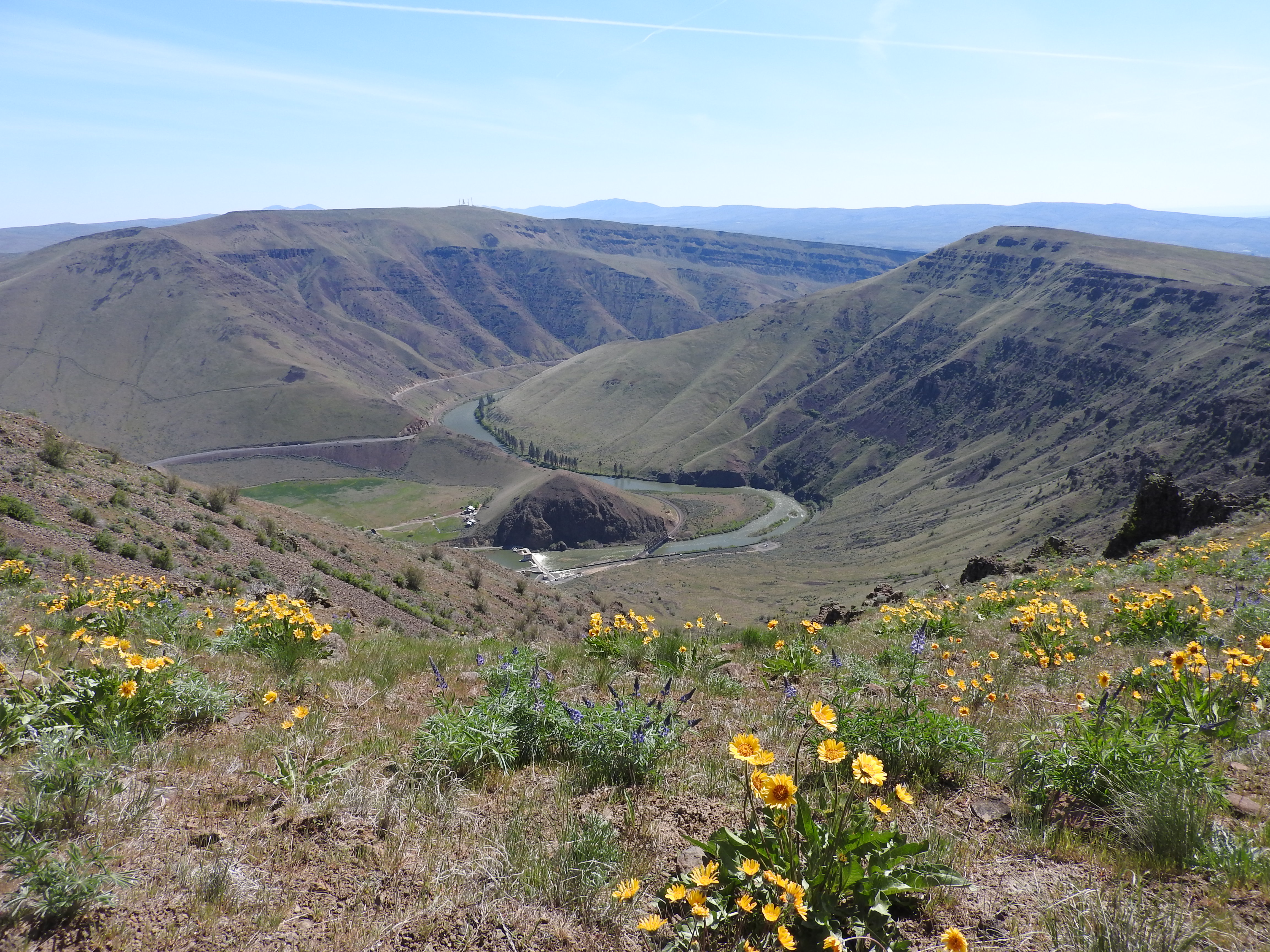Day Hike - Umtanum Ridge — The Mountaineers